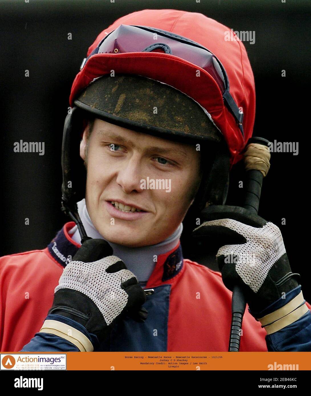 C sharkey hi-res stock photography and images - Alamy