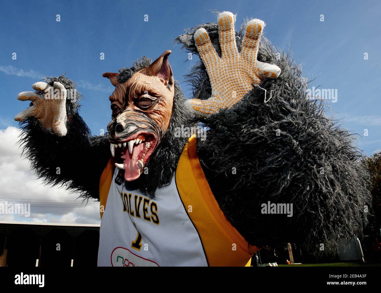 Wolfie mascot hi-res stock photography and images - Alamy