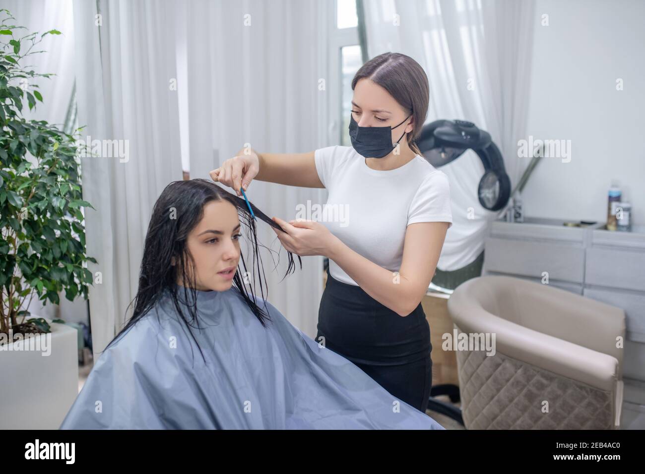Female hair stylist working in a beauty salon Stock Photo - Alamy