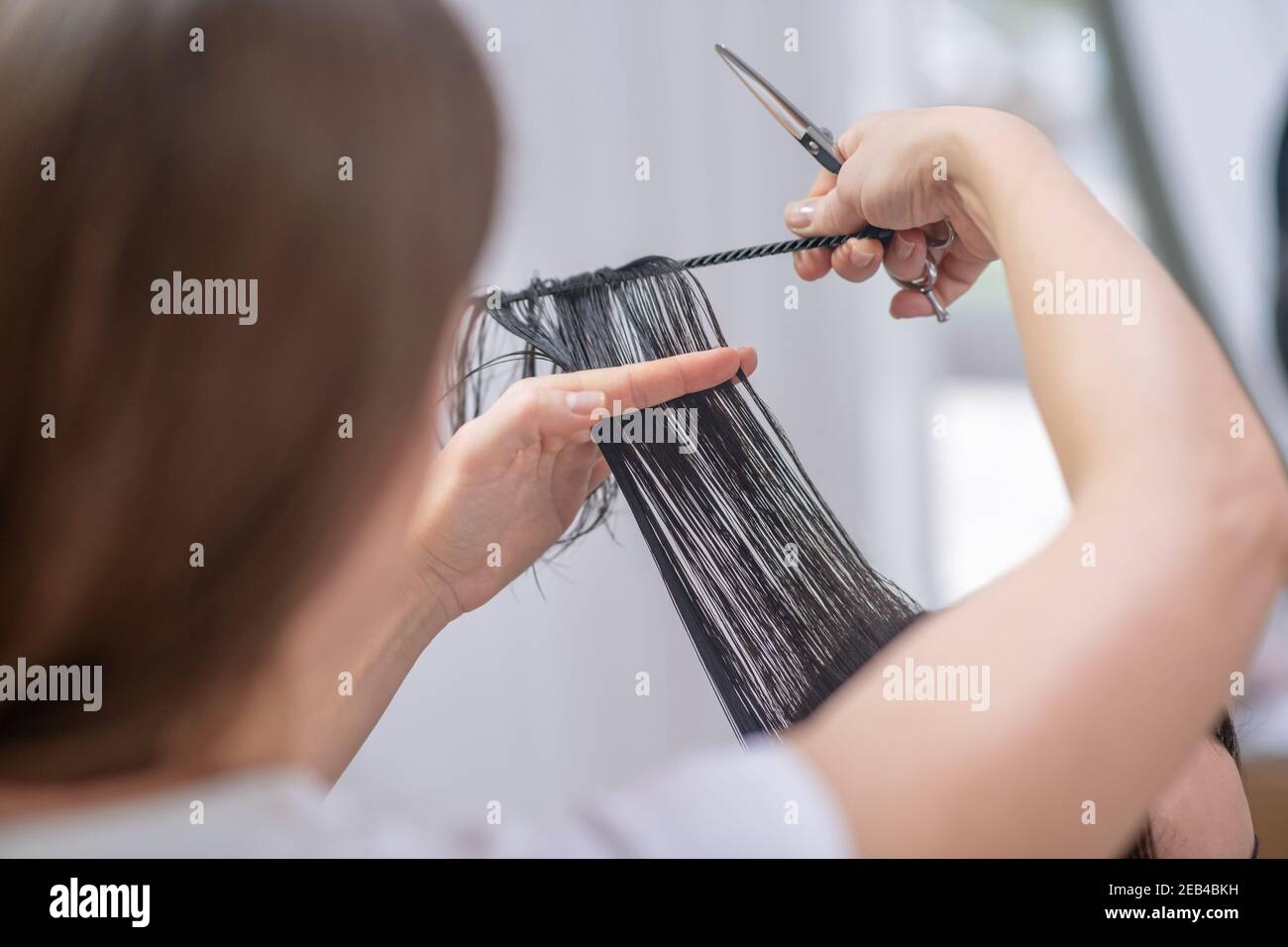 Close up picture of hands holding hair lock and scissors Stock Photo ...