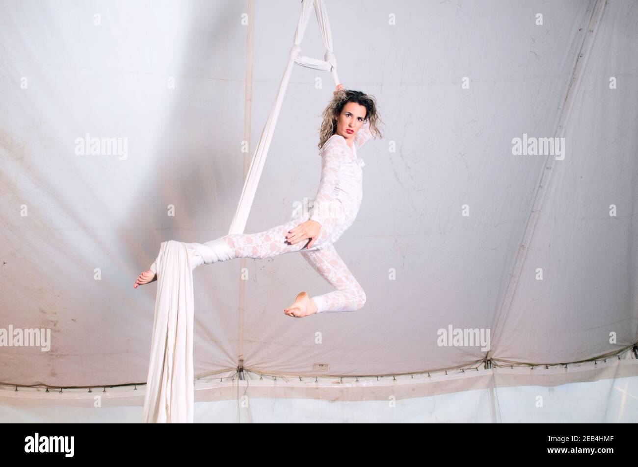 Female Aerialist acrobat performs in the air on fabric Stock Photo - Alamy