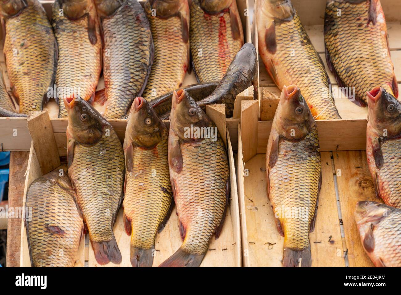 Wooden fish boxes hi-res stock photography and images - Alamy