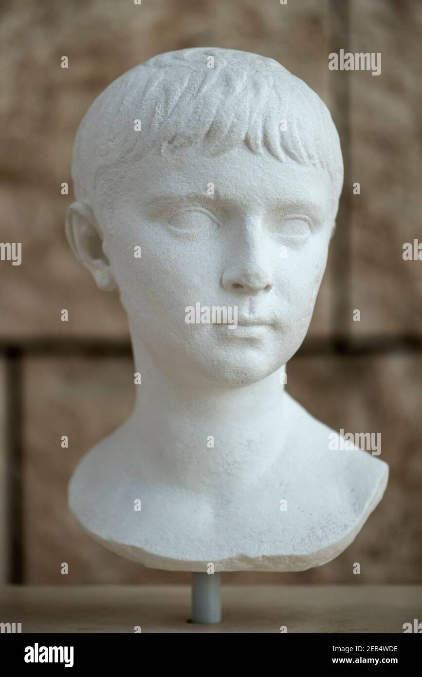 Gaius Trebonius