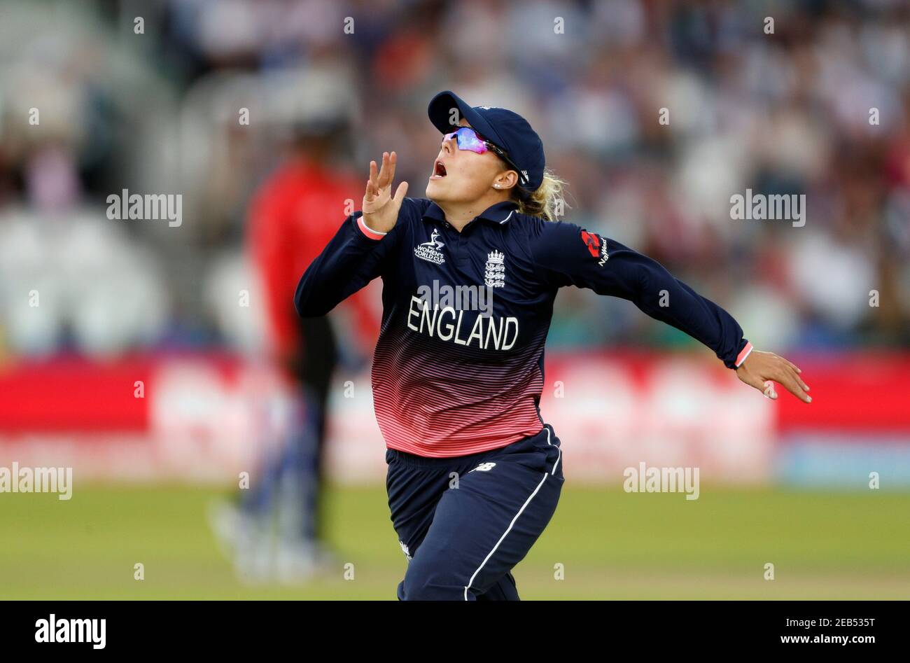 Alex Hartley Cricket High Resolution Stock Photography and Images - Alamy