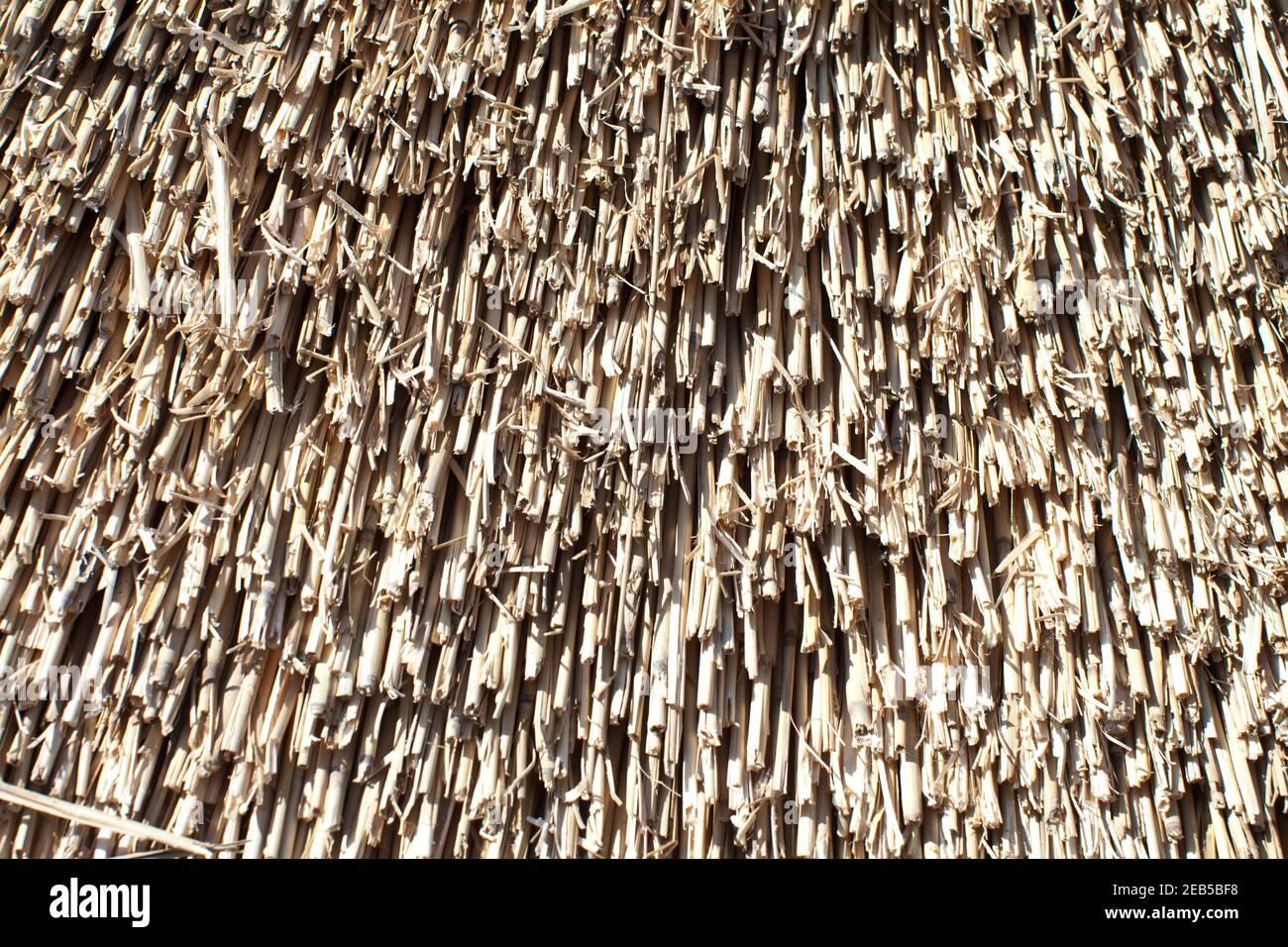 Thatchers skills hi-res stock photography and images - Alamy