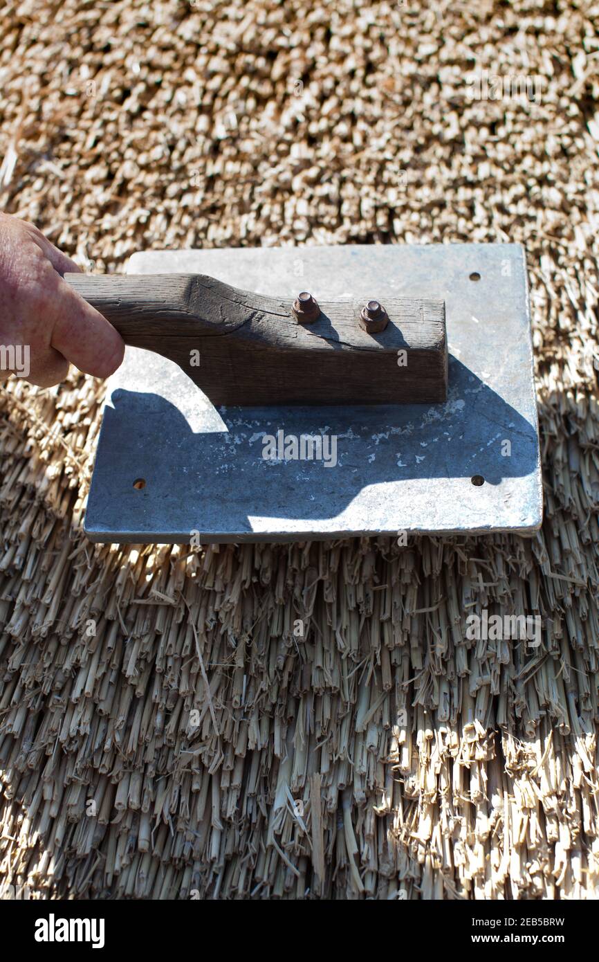 Thatching a Somerset cottage using wheat and traditional hazel spurs ...