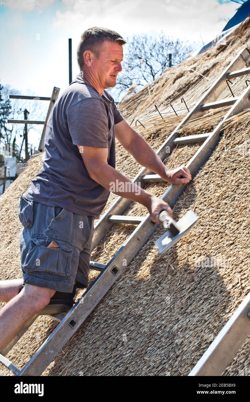 Thatching a Somerset cottage using wheat and traditional hazel spurs ...