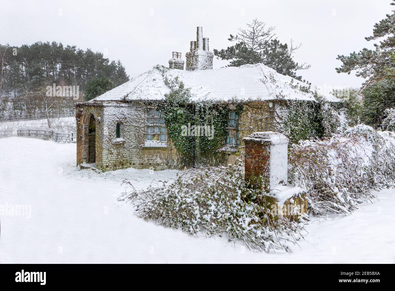 England ivy covered cottage hi-res stock photography and images - Alamy