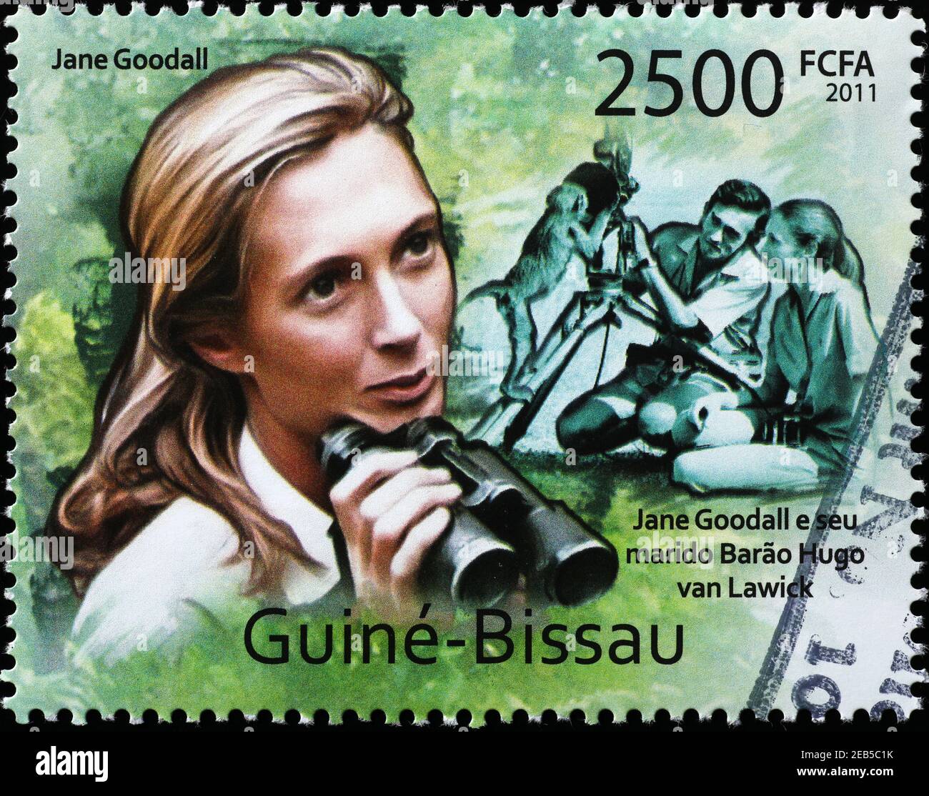 Jane goodall hi-res stock photography and images - Alamy