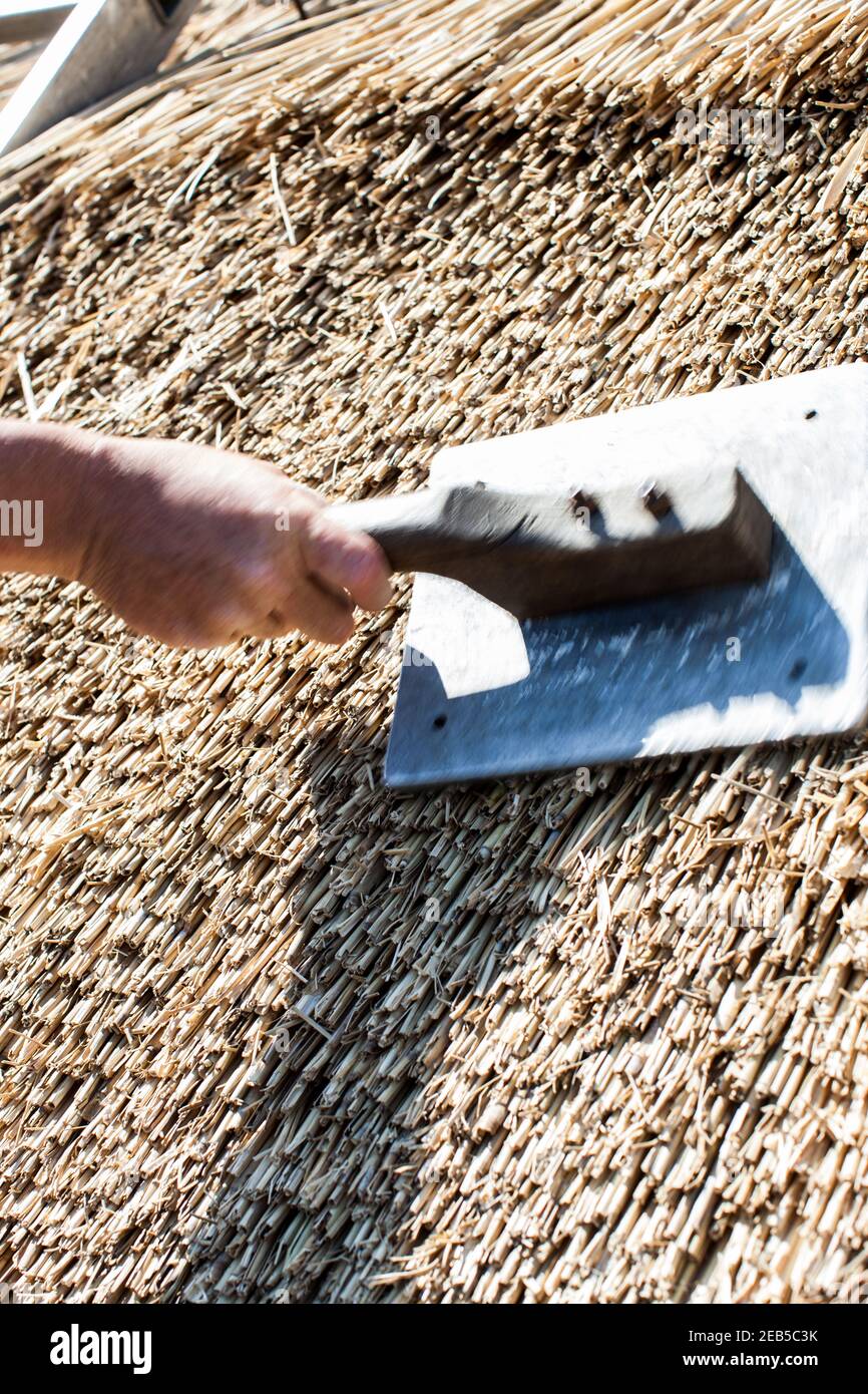 Thatching a Somerset cottage using wheat and traditional hazel spurs ...