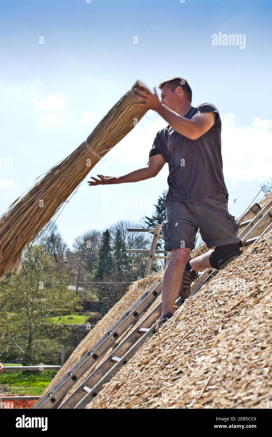 Thatching supplies hi-res stock photography and images - Alamy