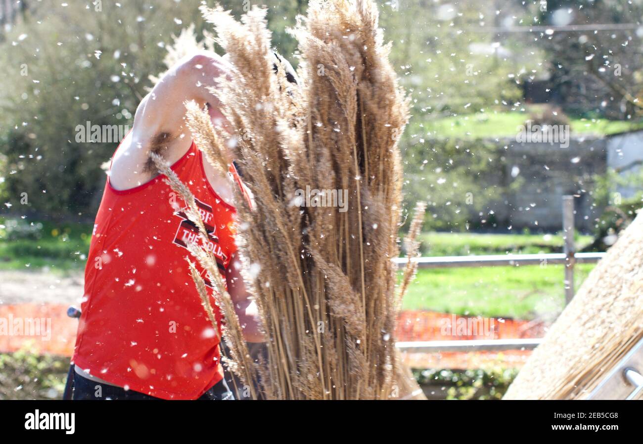 Thatchers skills hi-res stock photography and images - Alamy