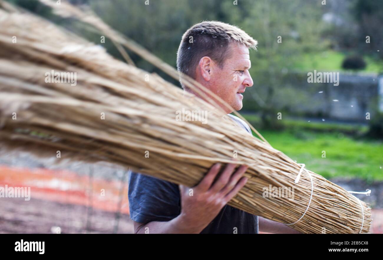 Thatching supplies hi-res stock photography and images - Alamy