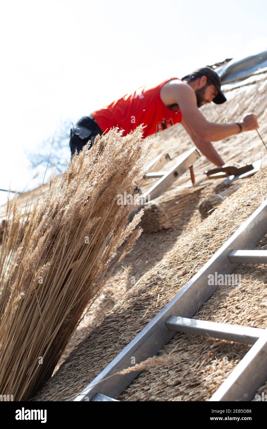 Thatchers tools hi-res stock photography and images - Alamy