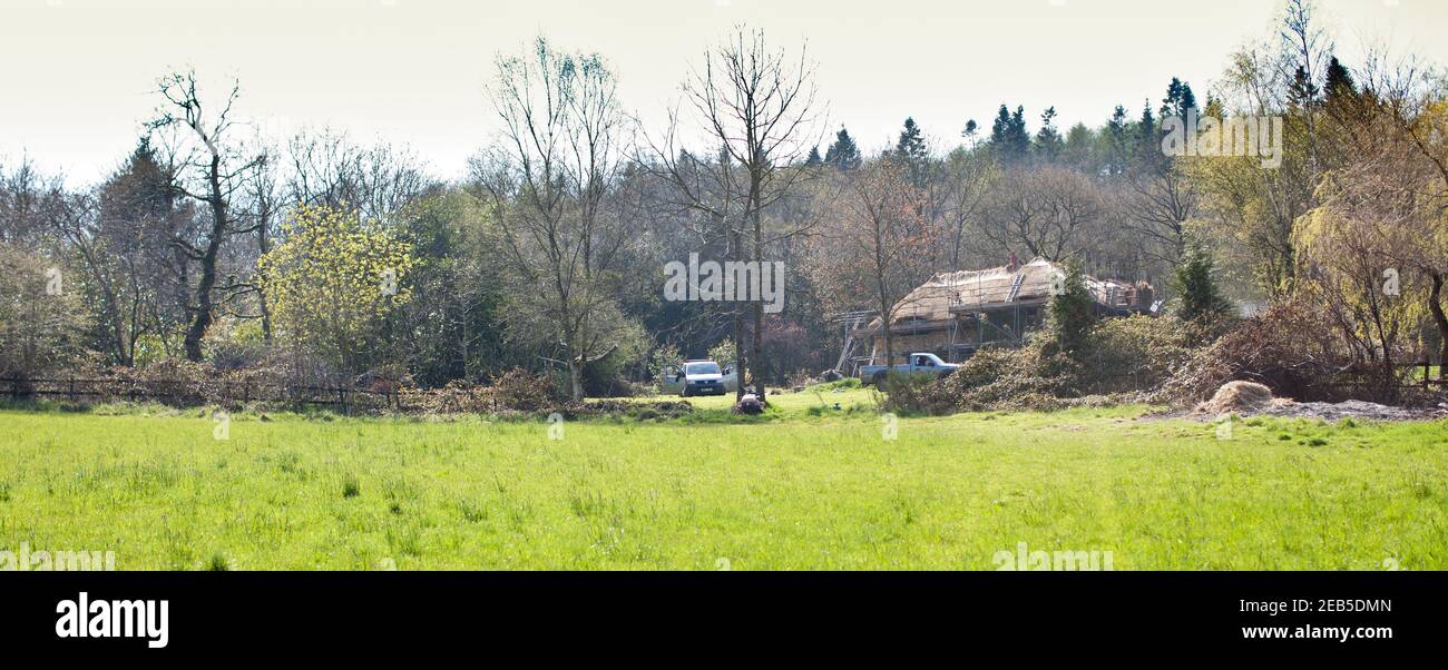 Thatching a Somerset cottage using wheat and traditional hazel spurs ...