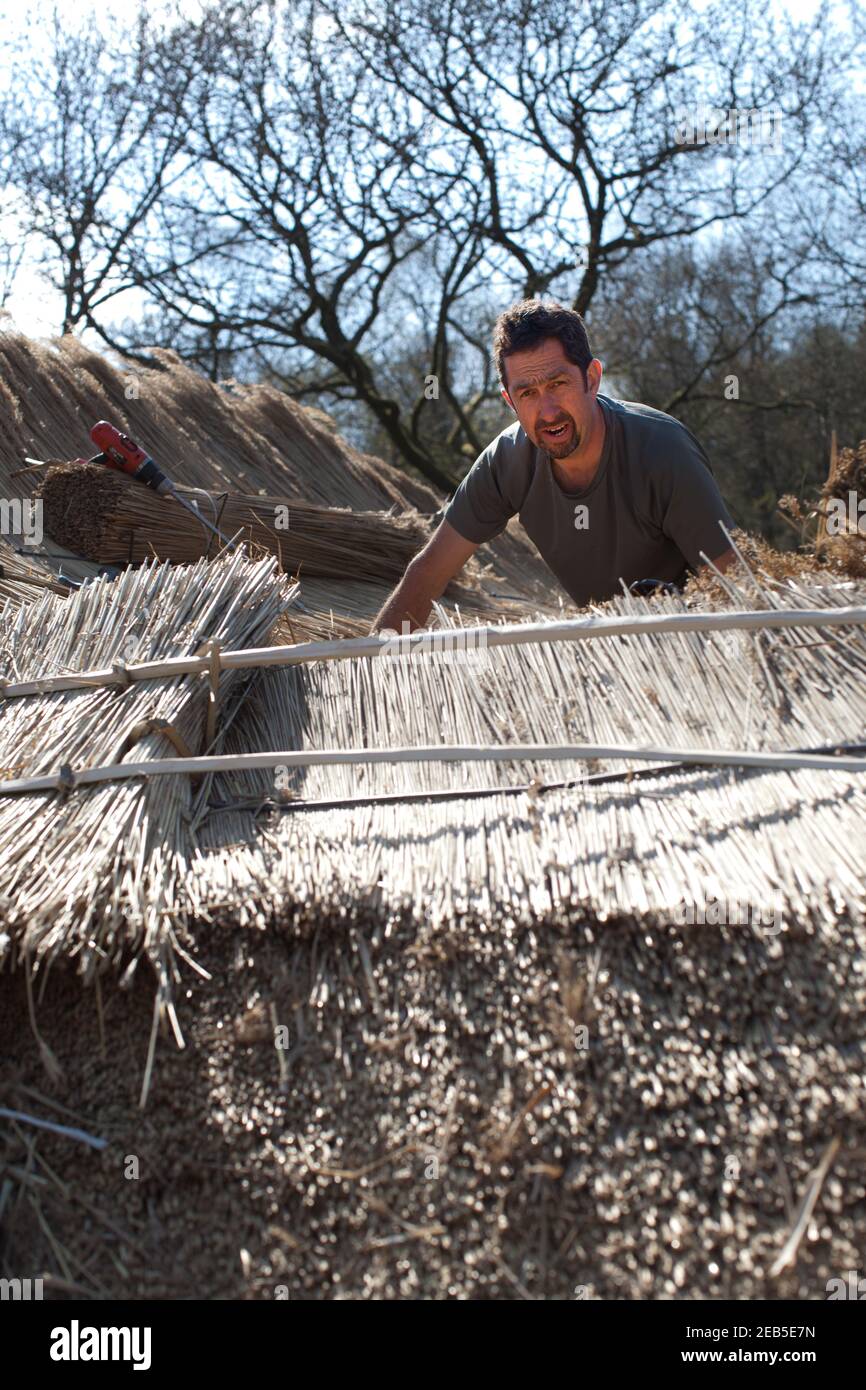 Thatching a Somerset cottage using wheat and traditional hazel spurs ...