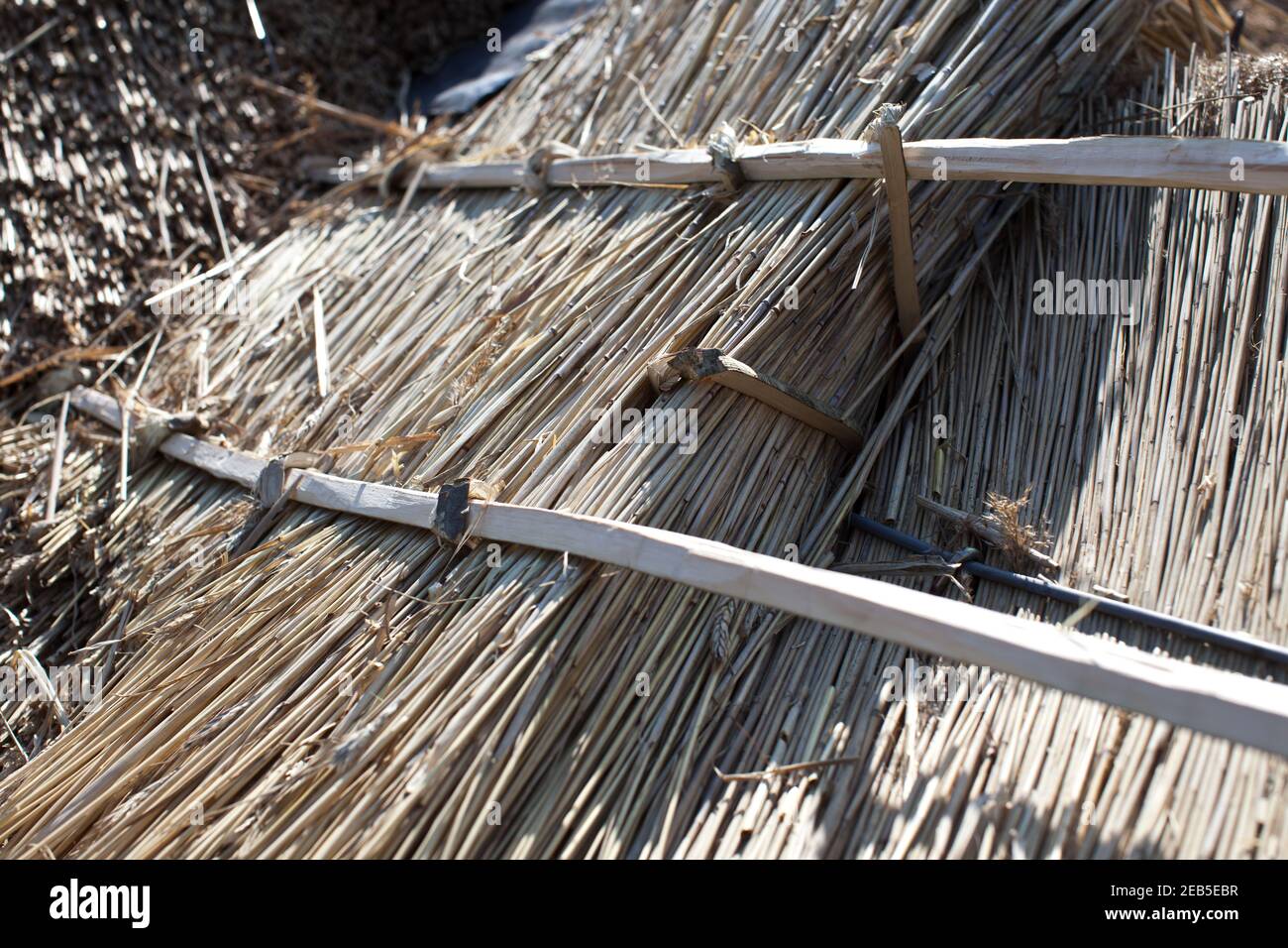 Thatching a Somerset cottage using wheat and traditional hazel spurs ...