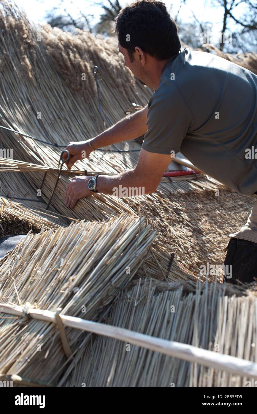 Thatching a Somerset cottage using wheat and traditional hazel spurs ...