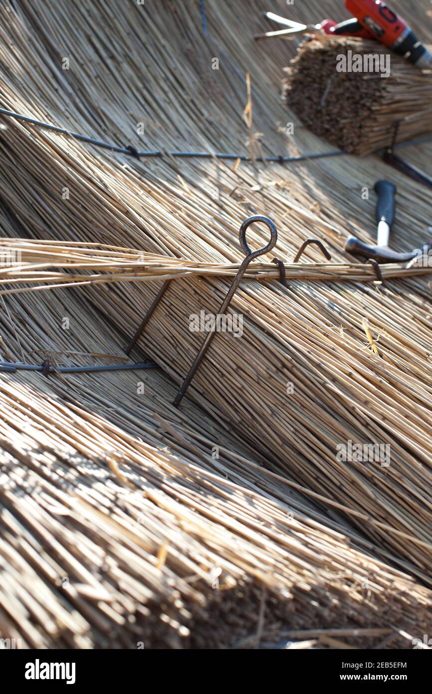 Thatching a Somerset cottage using wheat and traditional hazel spurs ...