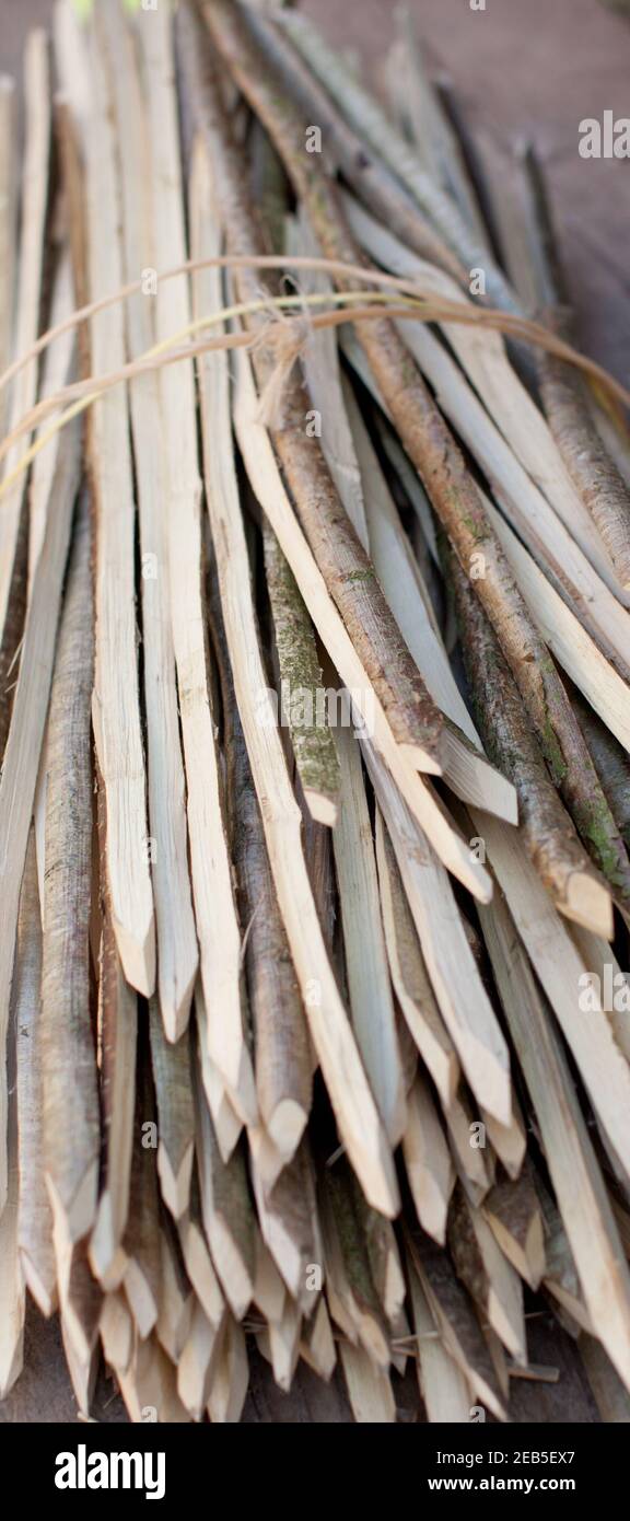 Thatching a Somerset cottage using wheat and traditional hazel spurs ...