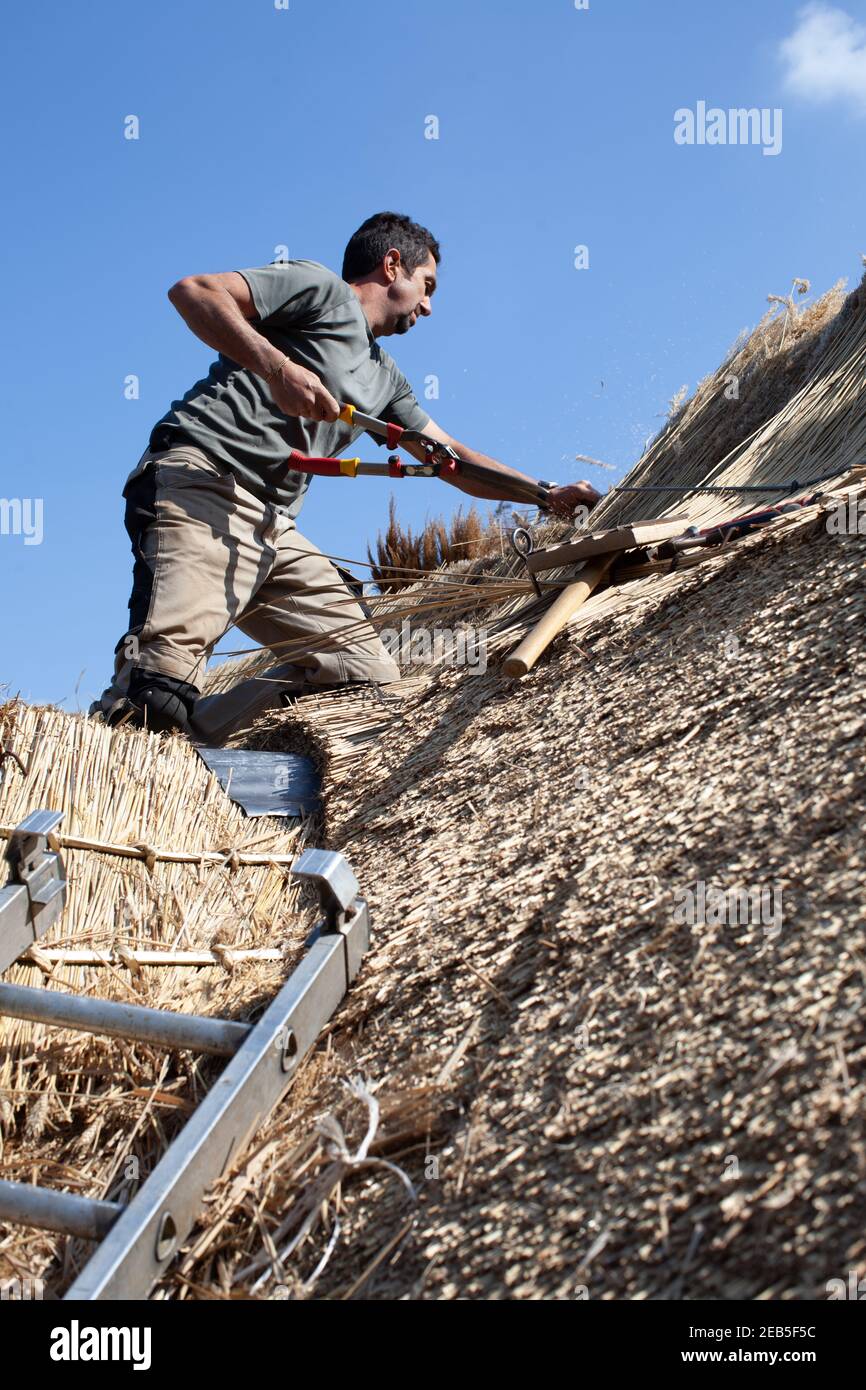Traditional thatch techniques hi-res stock photography and images - Alamy