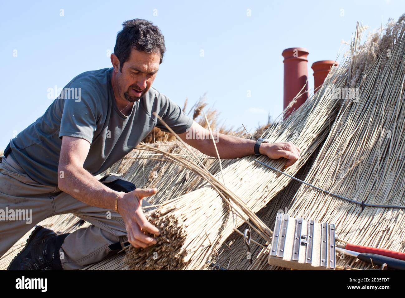 Thatchers skills hi-res stock photography and images - Alamy