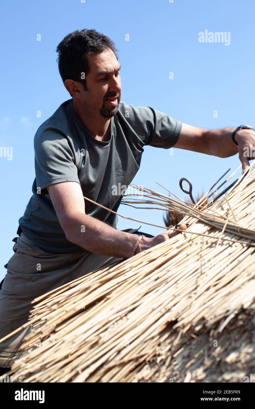Thatching a Somerset cottage using wheat and traditional hazel spurs ...