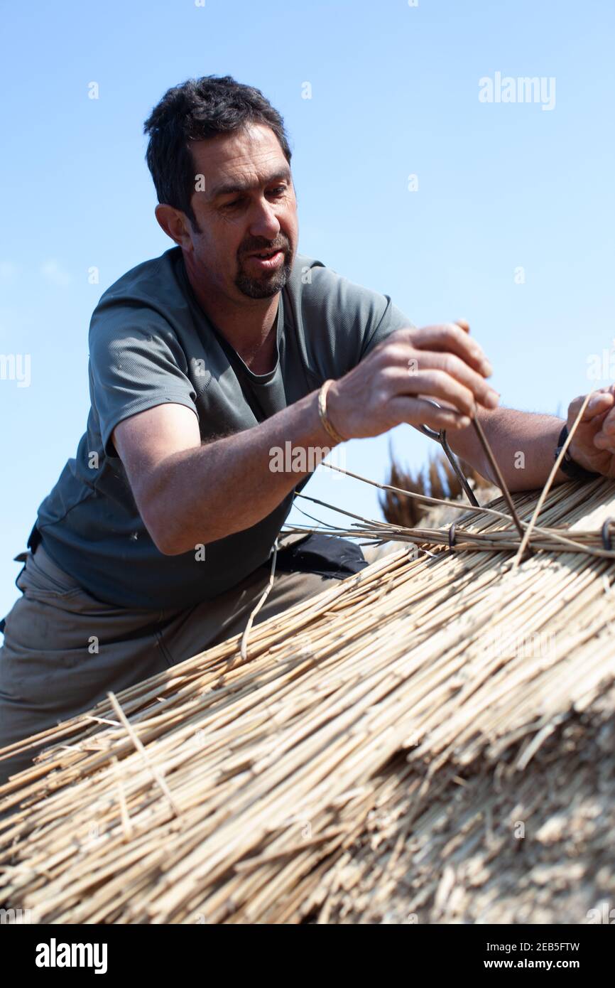 Thatching a Somerset cottage using wheat and traditional hazel spurs ...