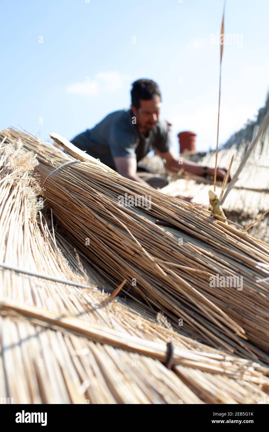 Thatching a Somerset cottage using wheat and traditional hazel spurs ...