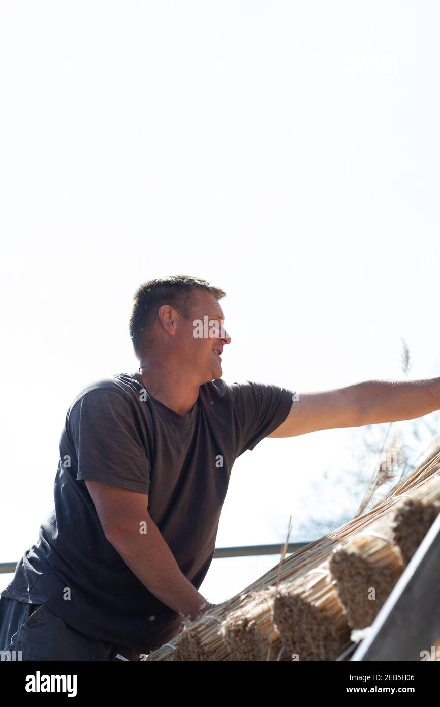 Thatching supplies hi-res stock photography and images - Alamy