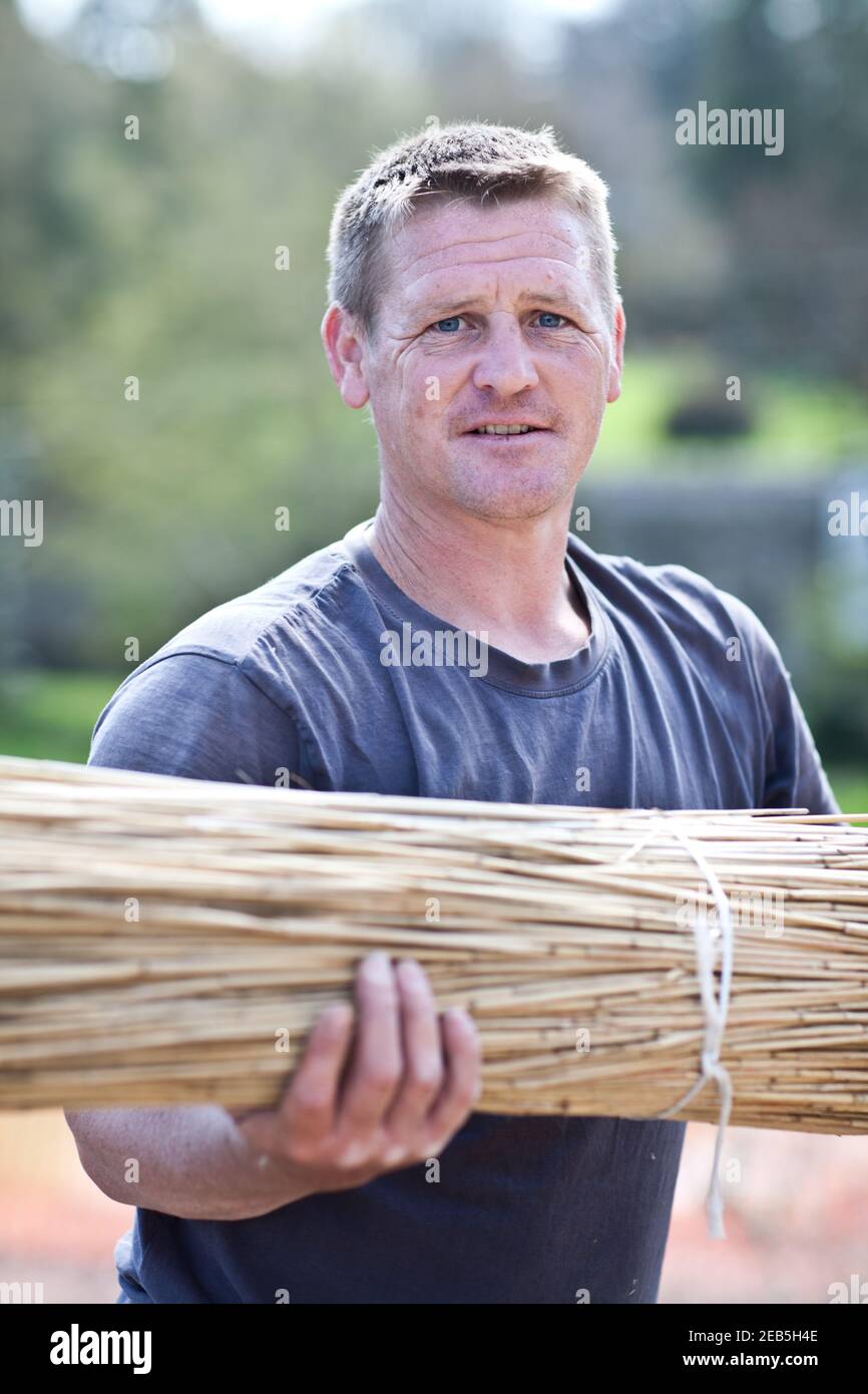 Thatching a Somerset cottage using wheat and traditional hazel spurs ...