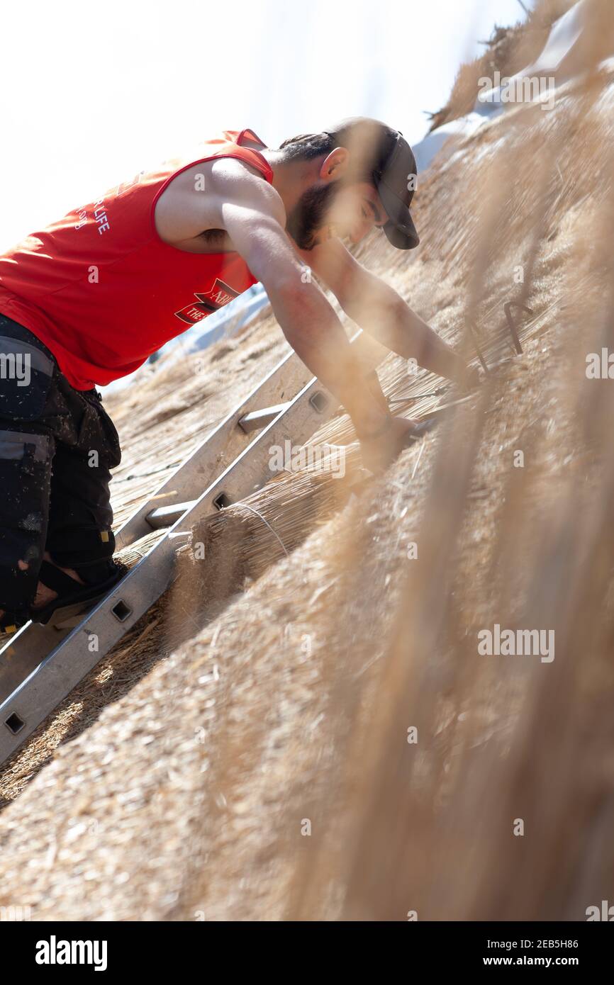 Thatching a Somerset cottage using wheat and traditional hazel spurs ...