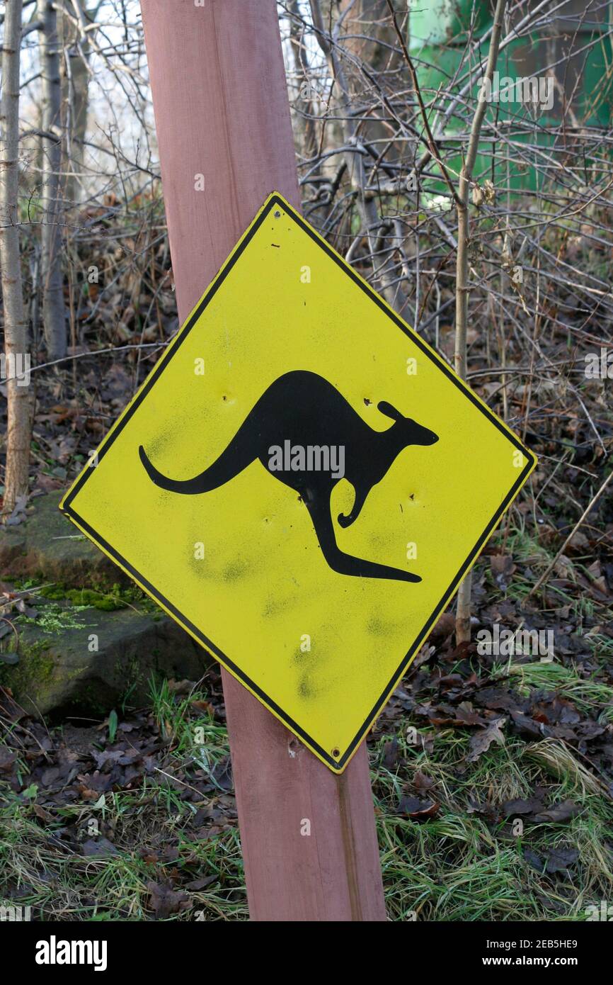 Yellow Kangaroo Crossing Sign Stock Photo - Alamy