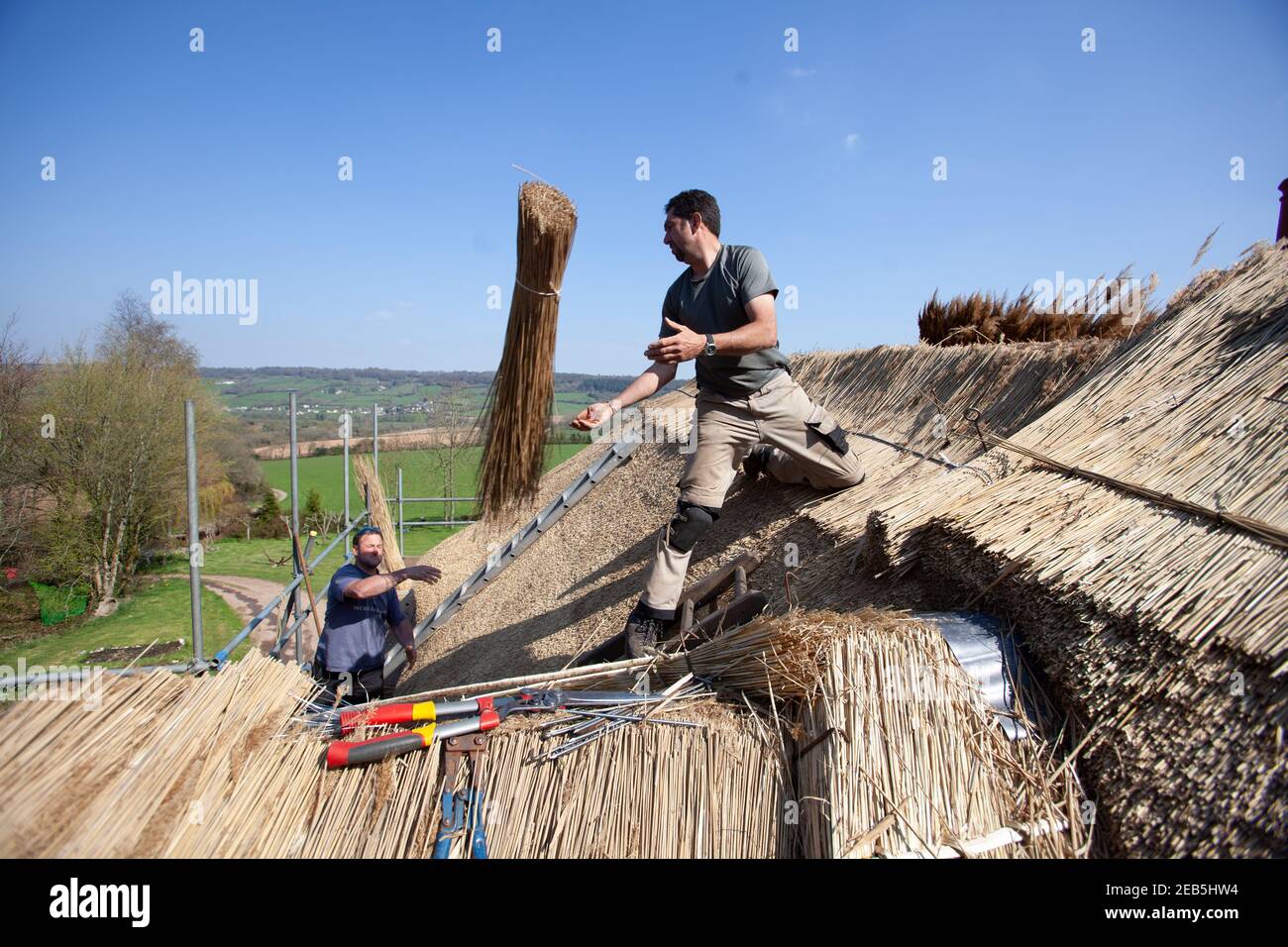 Thatching a Somerset cottage using wheat and traditional hazel spurs ...