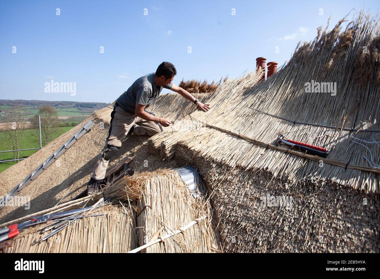 Thatching a Somerset cottage using wheat and traditional hazel spurs ...