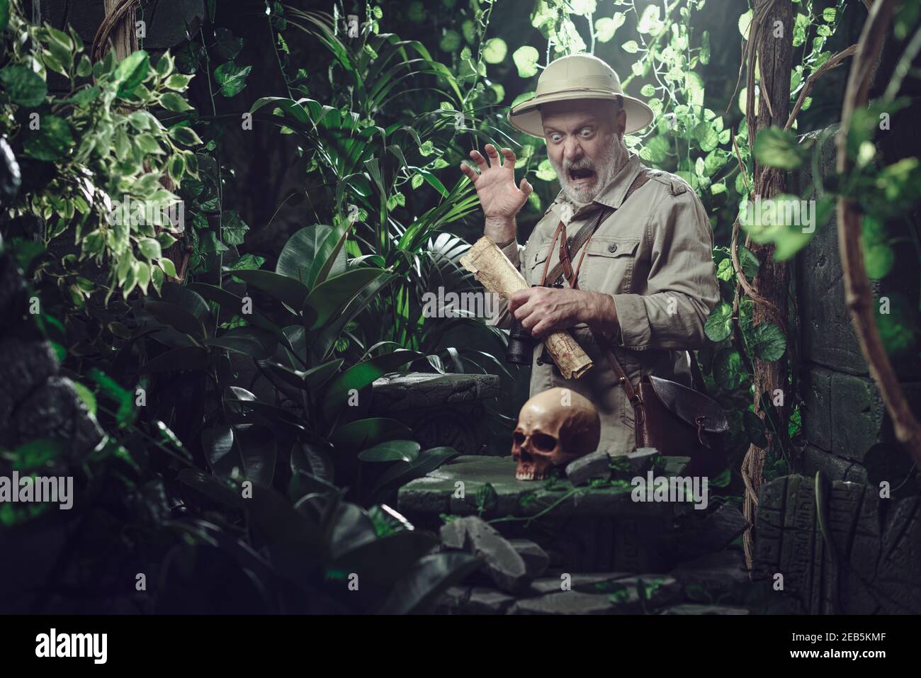 Skull surprised hi-res stock photography and images - Alamy