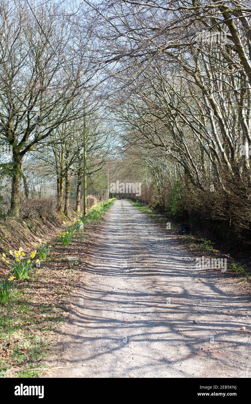Threshing wheat on somerset farm hi-res stock photography and images ...