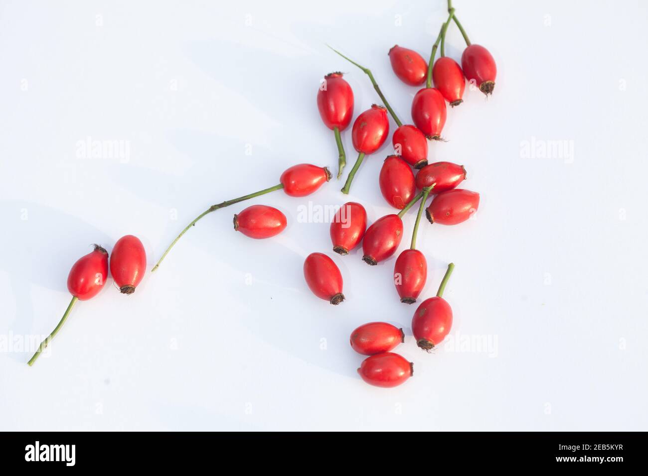 Composition with Hawthorn fruits with uniform background Stock Photo ...