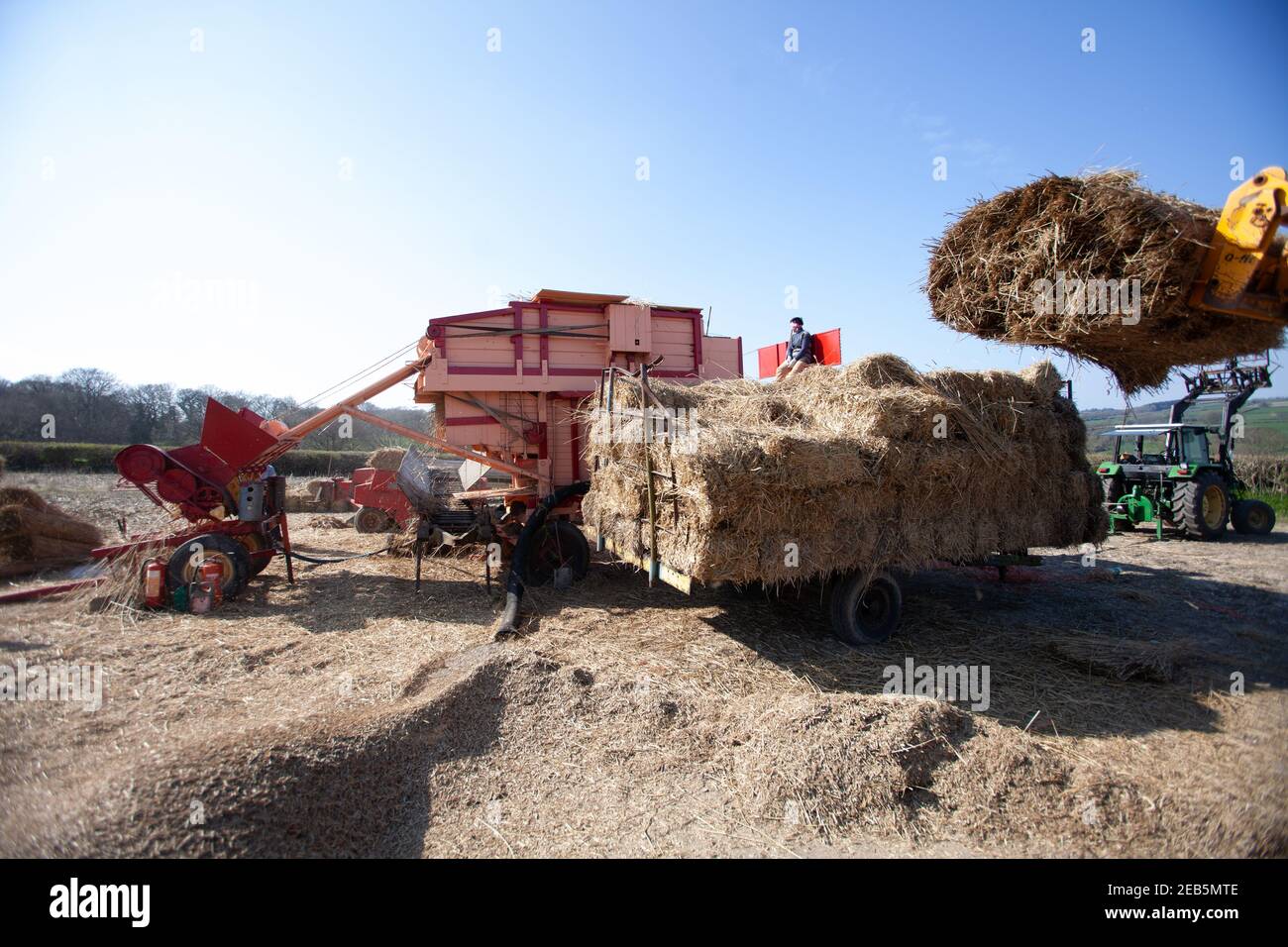 threshing wheat on Somerset farm Stock Photo - Alamy
