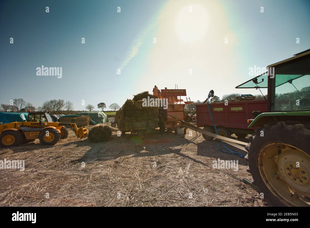 threshing wheat on Somerset farm Stock Photo - Alamy
