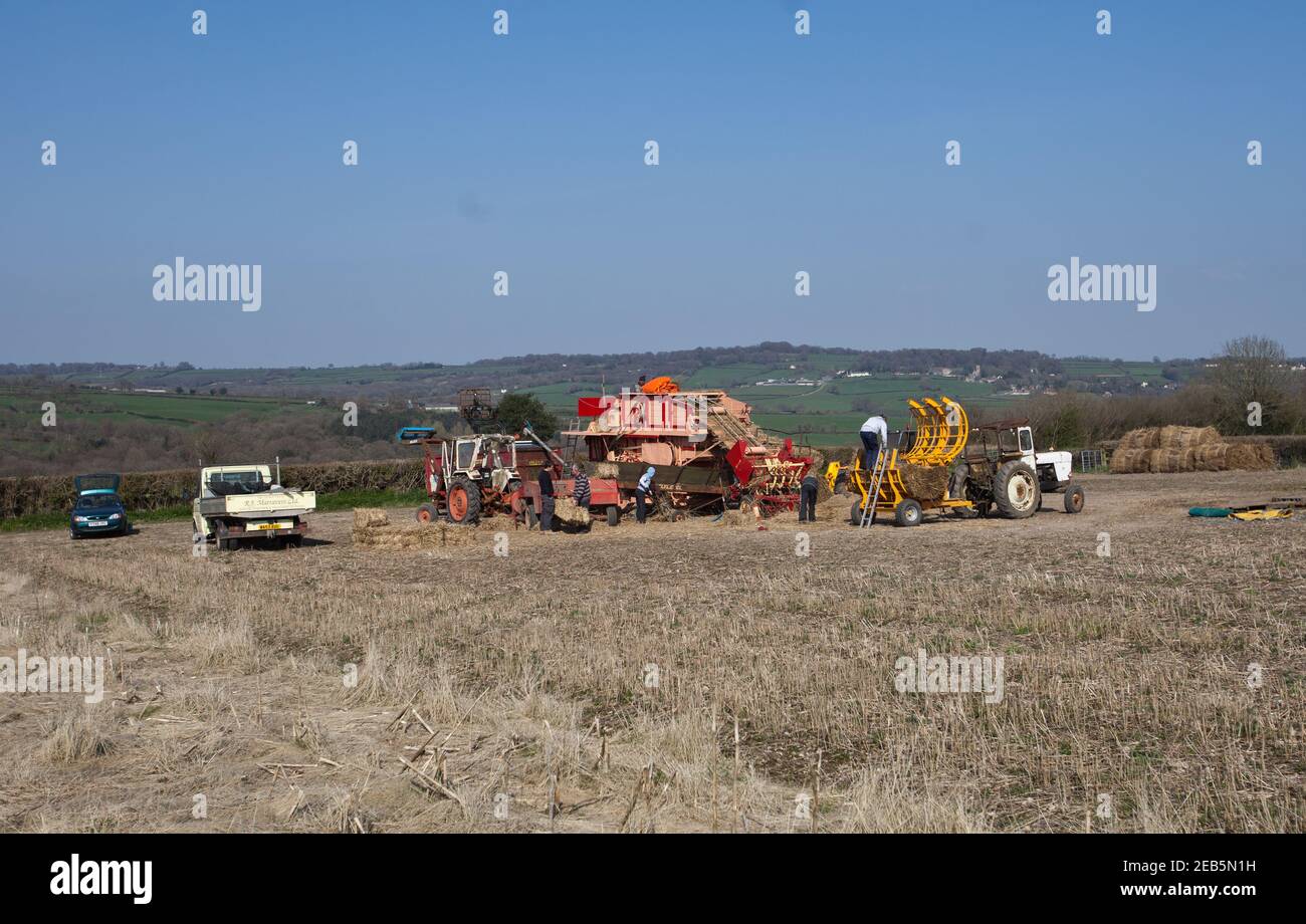Labour threshing crop hi-res stock photography and images - Alamy
