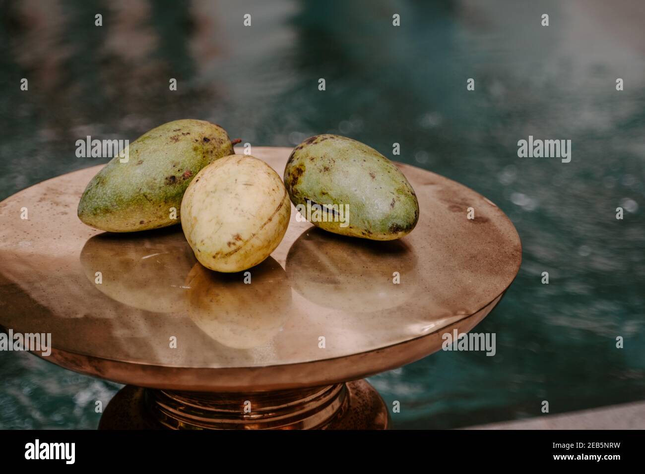 Three green and yellow mangoes laying on golden table with swimming ...