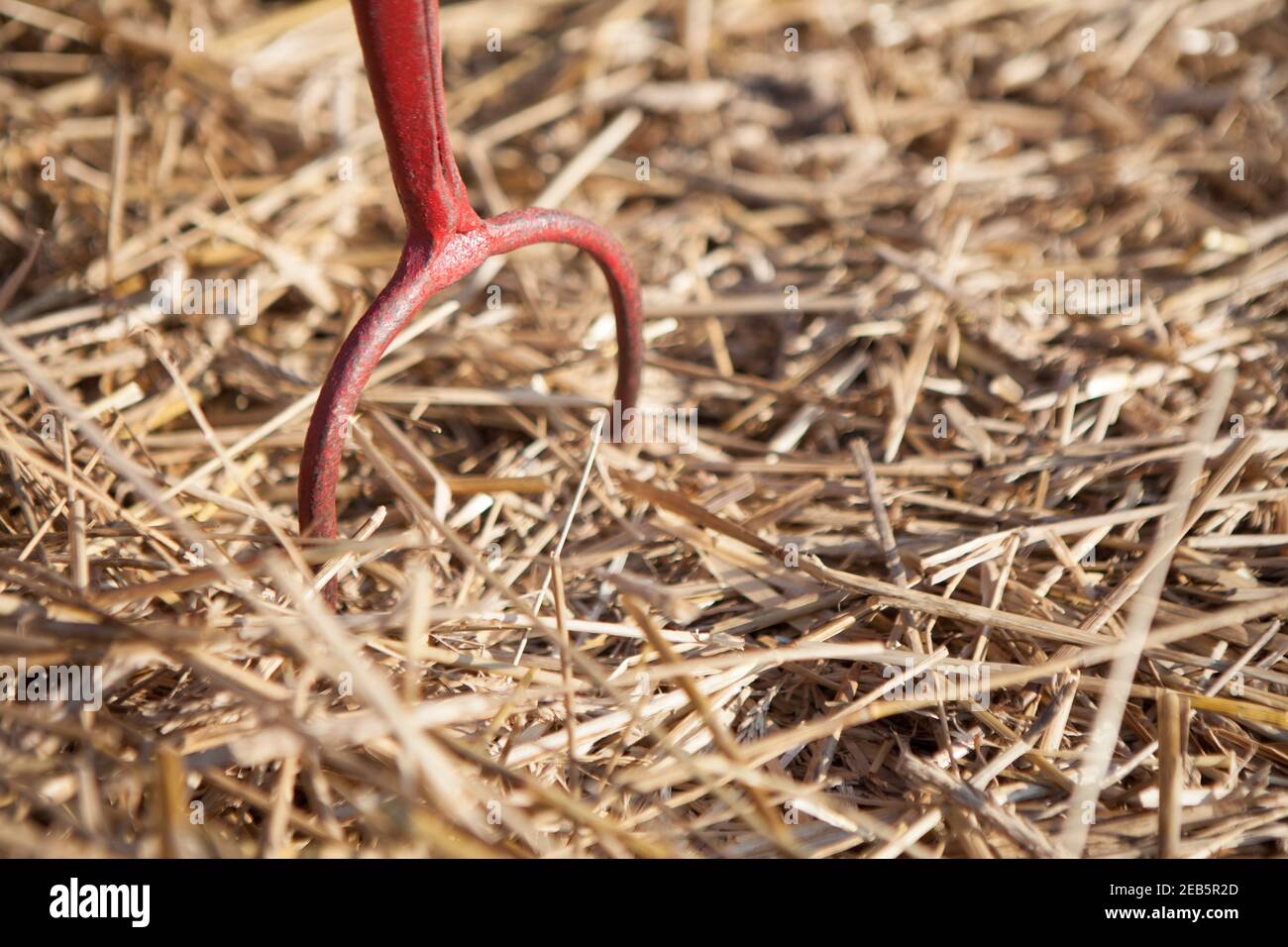 Traditional thatching tools and products Stock Photo - Alamy