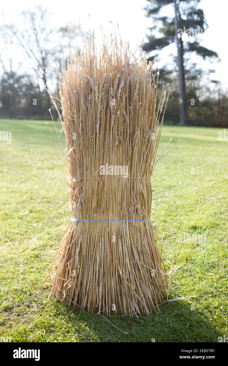 Traditional thatching tools and products Stock Photo - Alamy