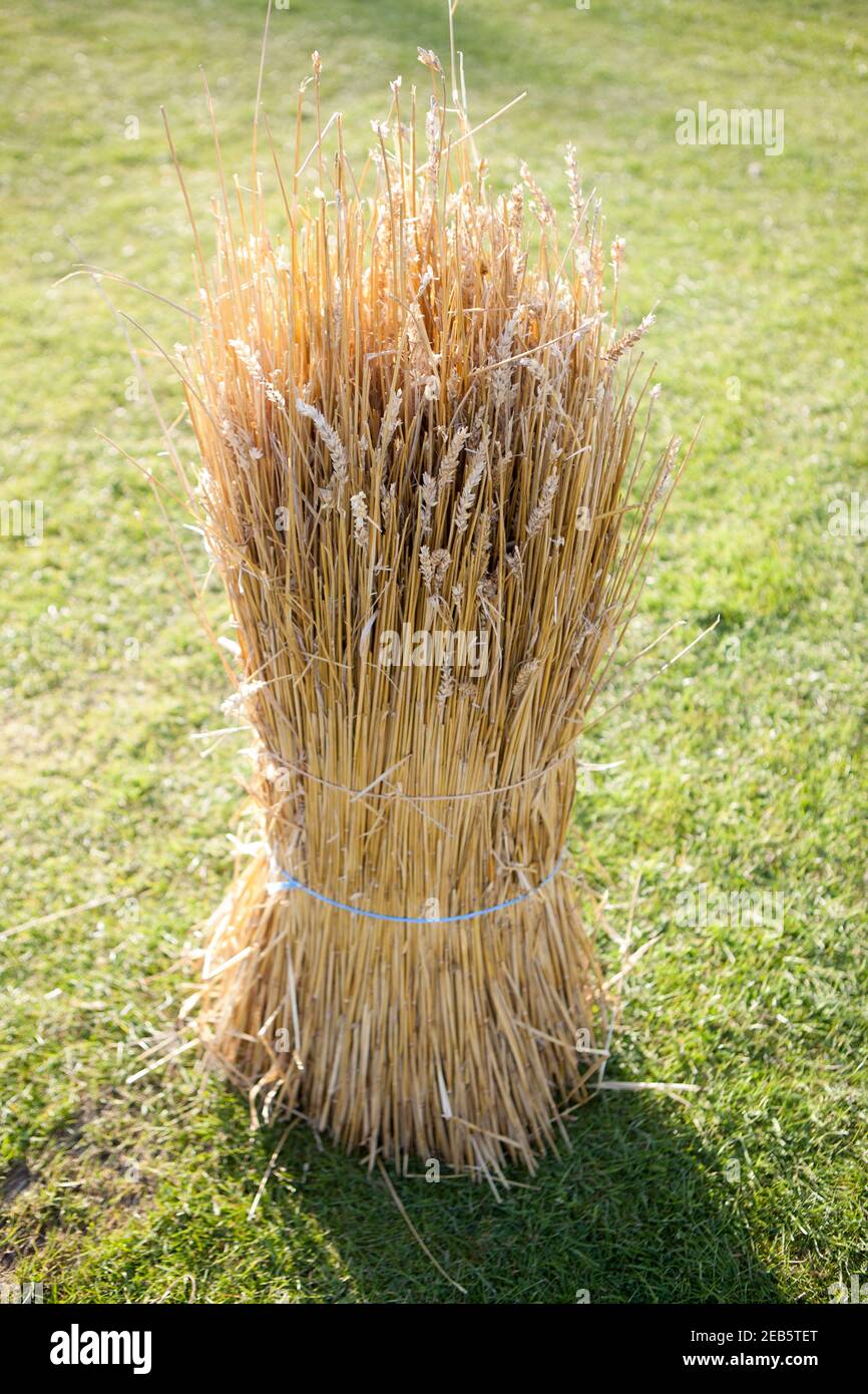 Traditional thatching tools and products Stock Photo - Alamy