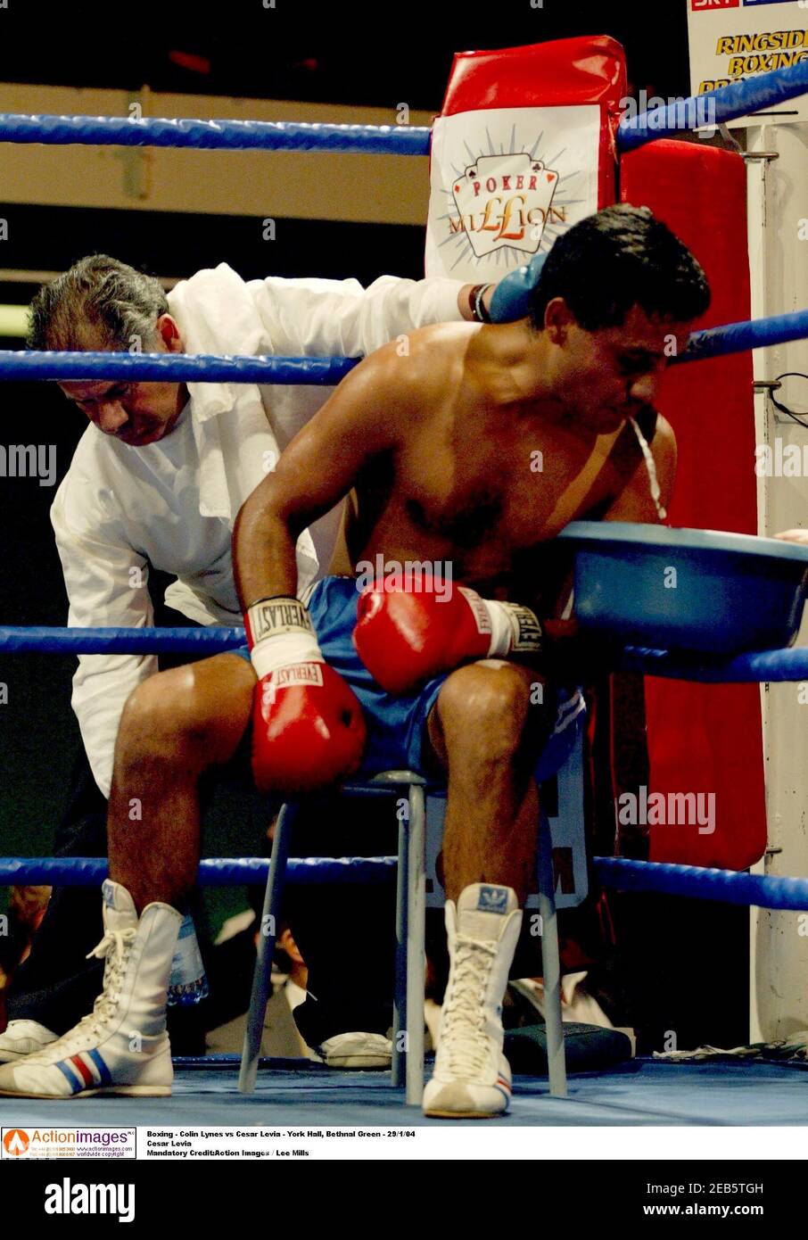 Levia High Resolution Stock Photography and Images - Alamy