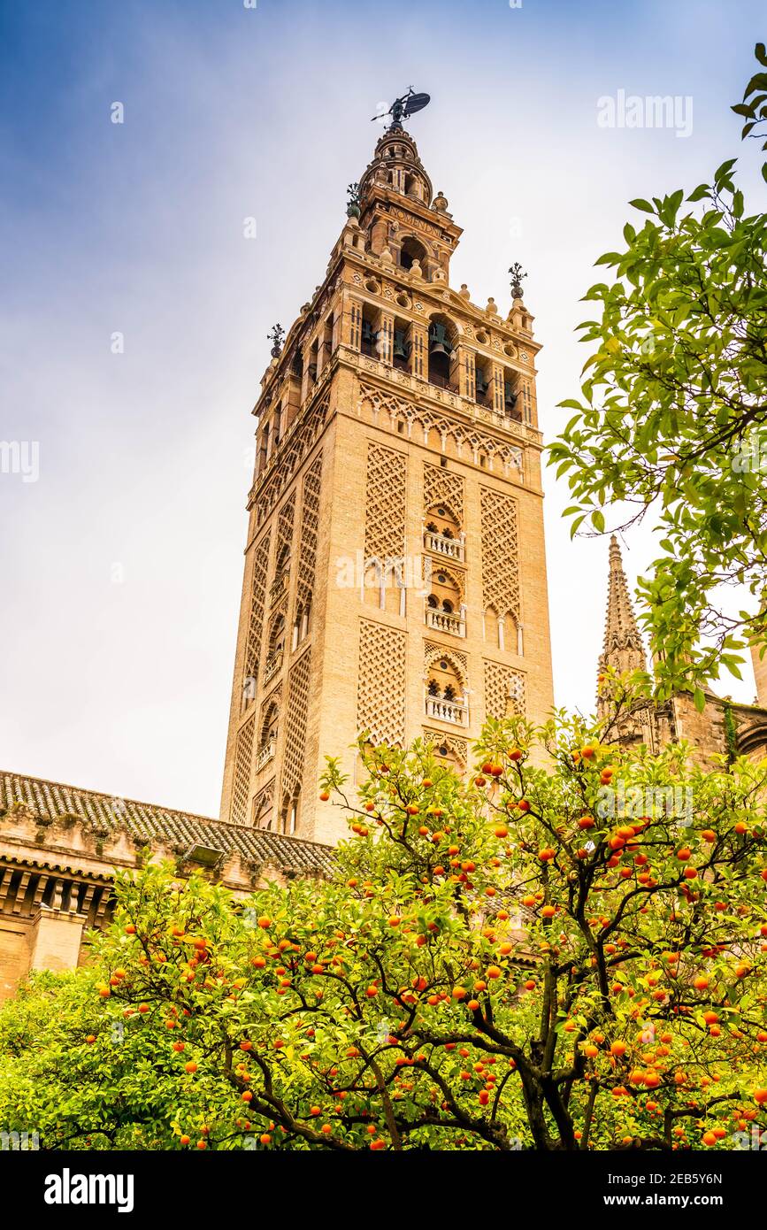 Sevilla orange hi-res stock photography and images - Alamy