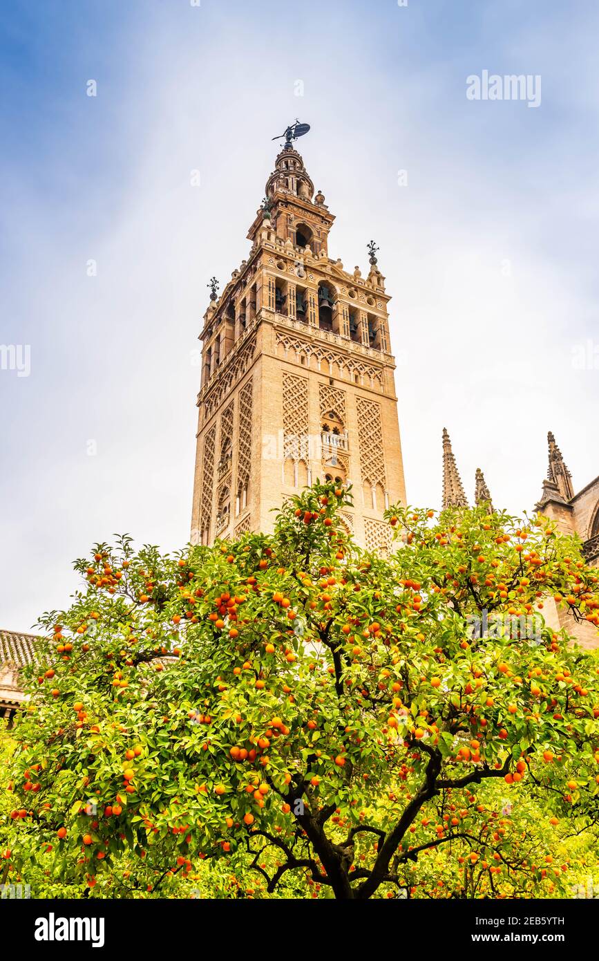 Sevilla orange hi-res stock photography and images - Alamy