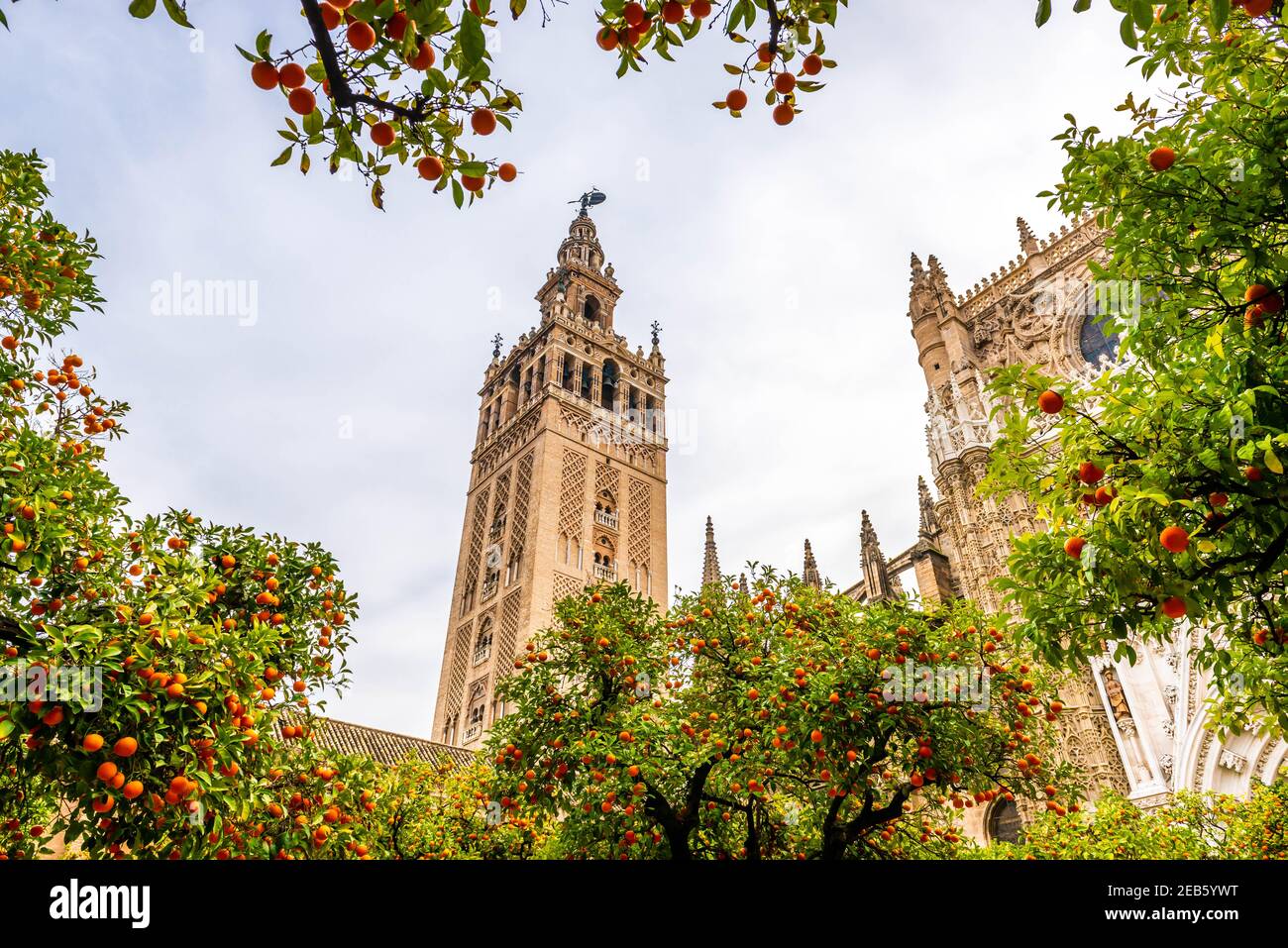 Sevilla orange hi-res stock photography and images - Alamy