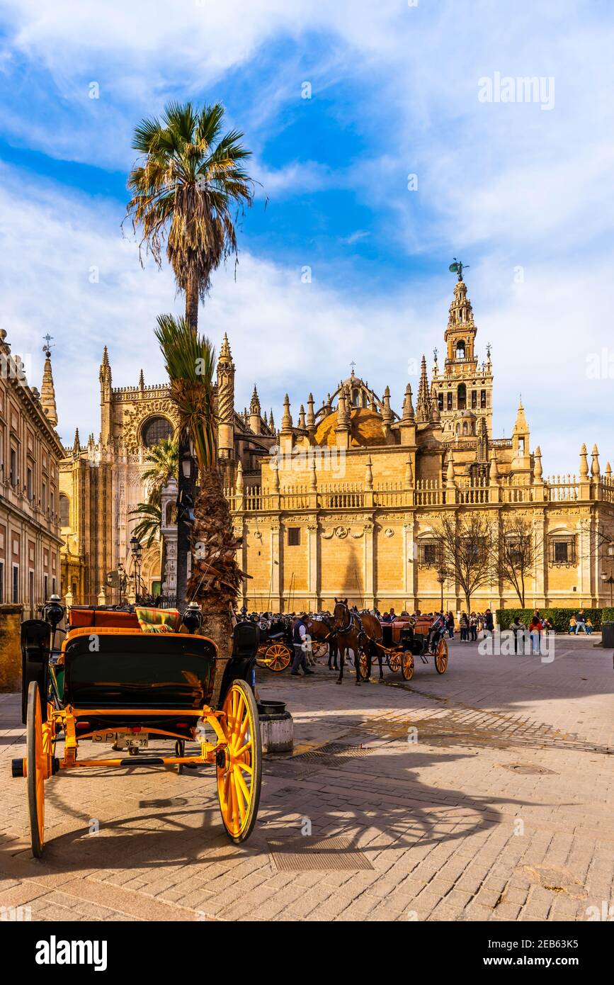 Triumph square hi-res stock photography and images - Alamy